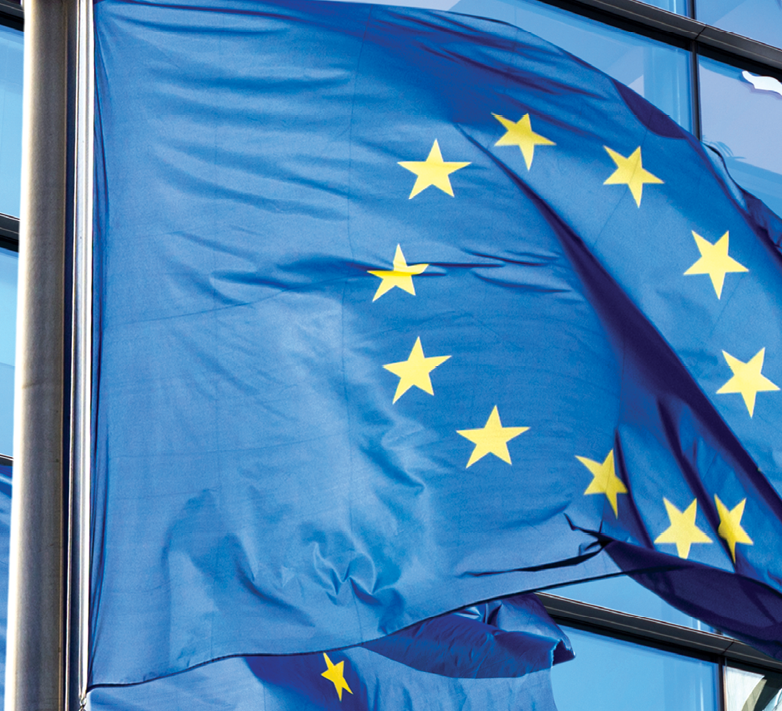 IFC: Corporate Governance Practices in the European Union - Business Vision