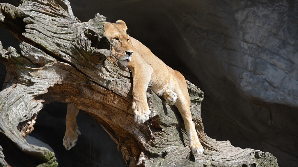 Having a cruisy day at work? You’re part of the problem, but it may not ...