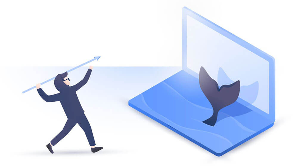 Never mind phishing: look out for whalers - Business Vision