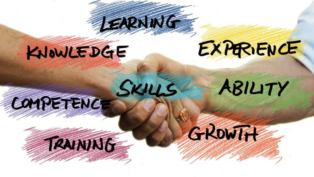 Using talent as a springboard for growth - Business Vision